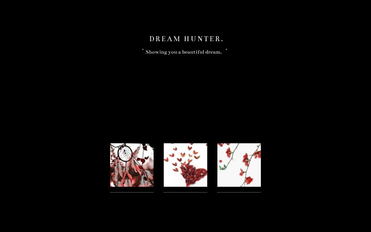 DREAM HUNTER.